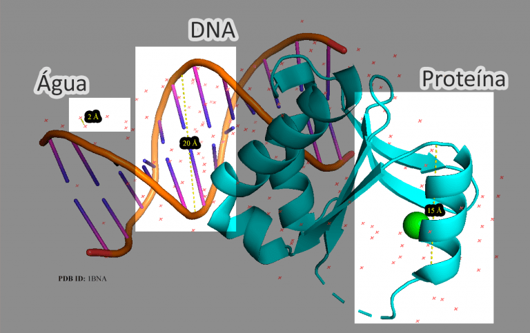 O que é ångström (Å) e quanto vale 1 Å? – BIOINFO