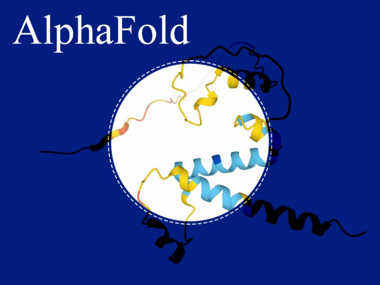 AlphaFold 2: revolucionando a modelagem de estruturas 3D de ...