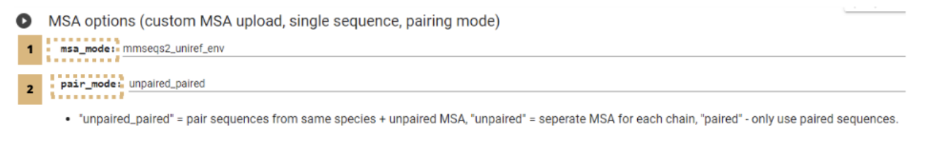 ColabFold: uma ferramenta web para modelagem de proteínas – BIOINFO