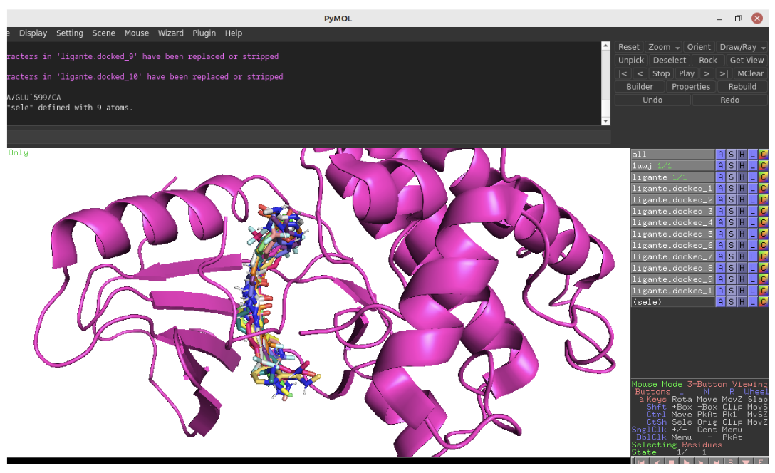 Re-docking Molecular Utilizando o PyMOL e AutoDock VINA – BIOINFO