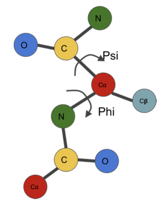AlphaFold 2: revolucionando a modelagem de estruturas 3D de ...